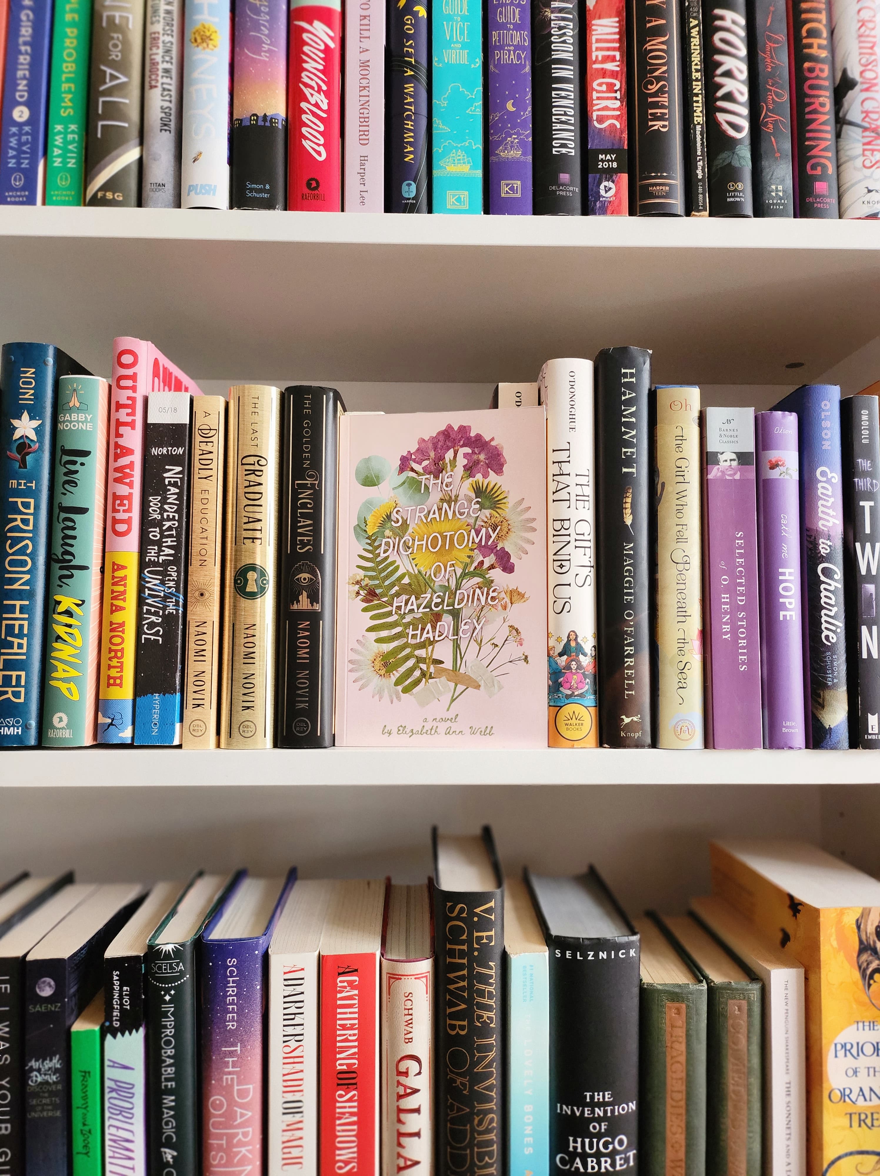 Elizabeth Ann Webb – Writer, Reader, Magic Believer